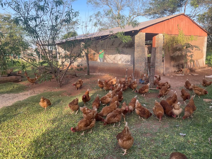 Granja D’8mil - San Estanislao