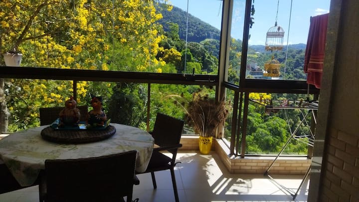 Casa Bem Localizada No Centro. - Domingos Martins