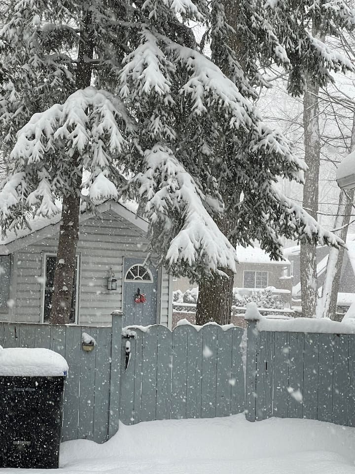 Greystone Cottage In Innisfil - Innisfil