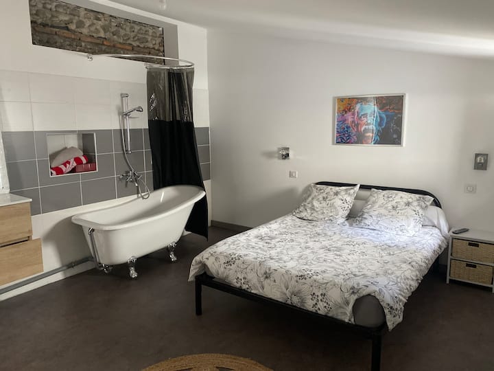 Luxe Et Charme Au Cœur De Tarbes - Tarbes