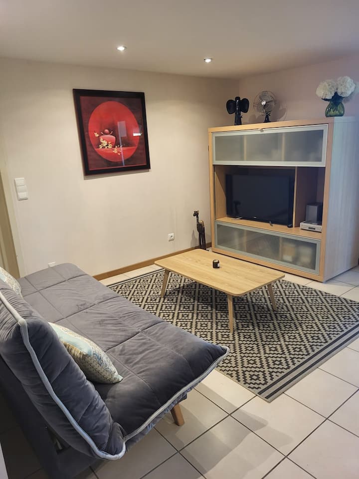 Charmant T3 Proche De La Plage - 巴約訥