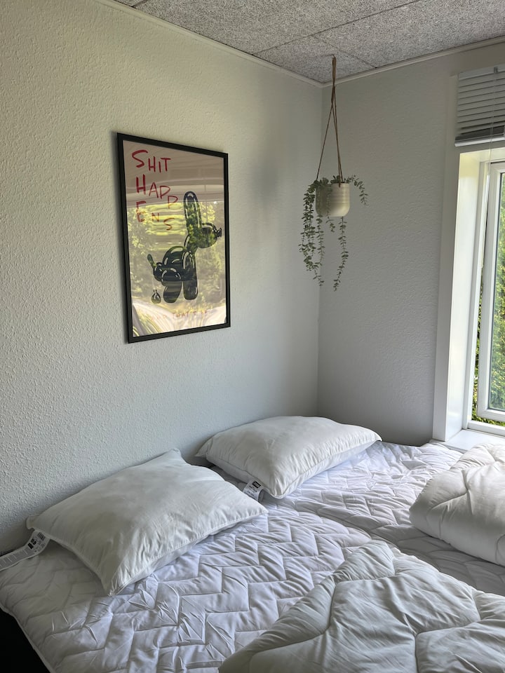 Billund Mini Hostel Room 12 - Billund