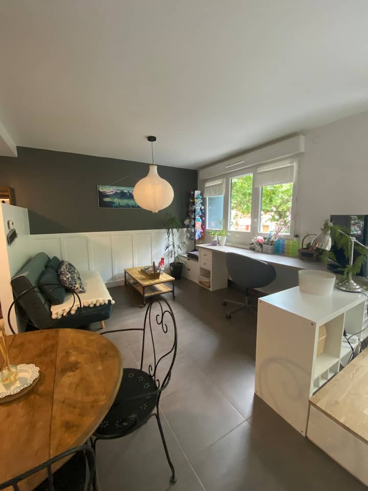 Grand Studio Av. De Genève - Annecy-le-Vieux