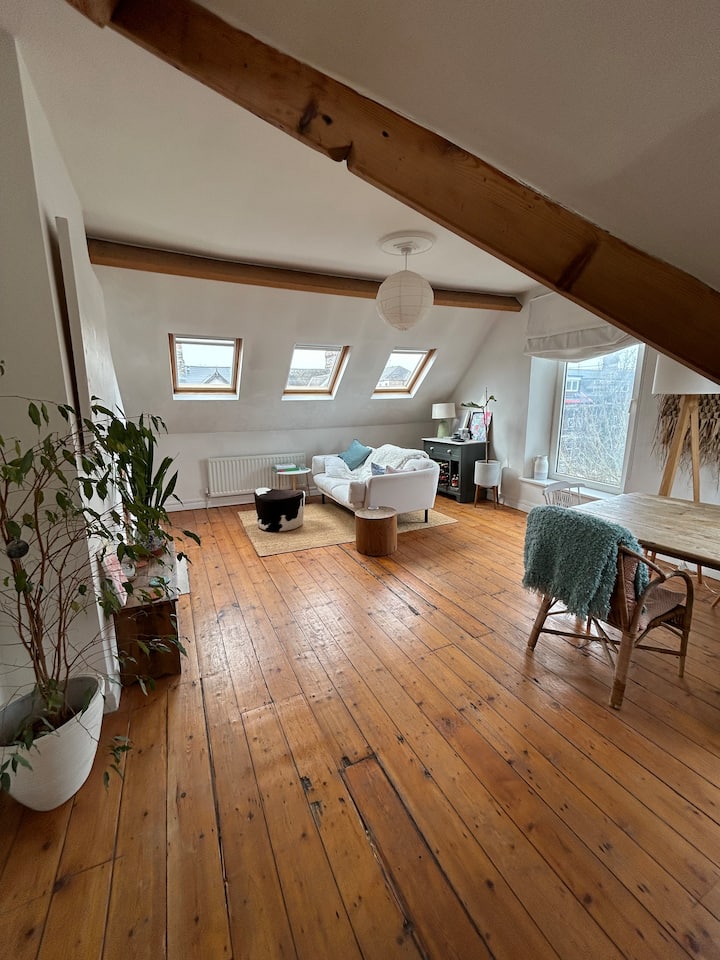 Jesmond Loft Apartment - Newcastle upon Tyne