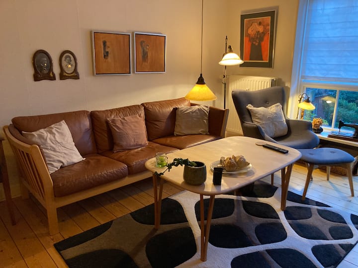 Hyggelig Lejlighed - Kopenhagen
