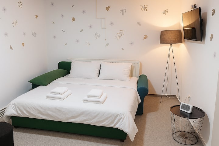 Pp's Under Tâmpa Apartman - Brașov