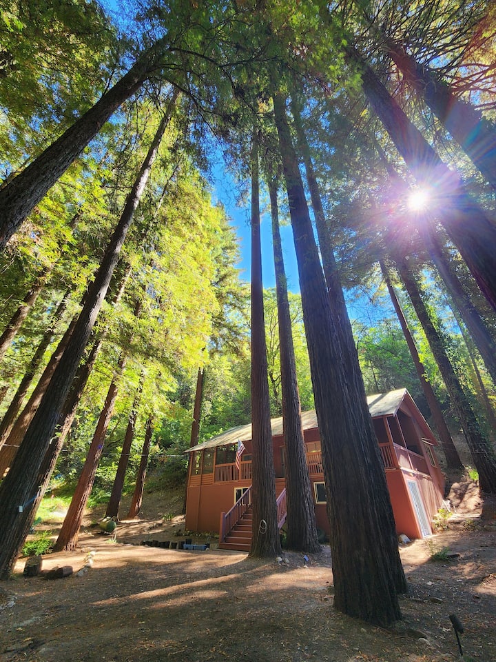 Majestic Redwood Getaway - Humboldt County, CA