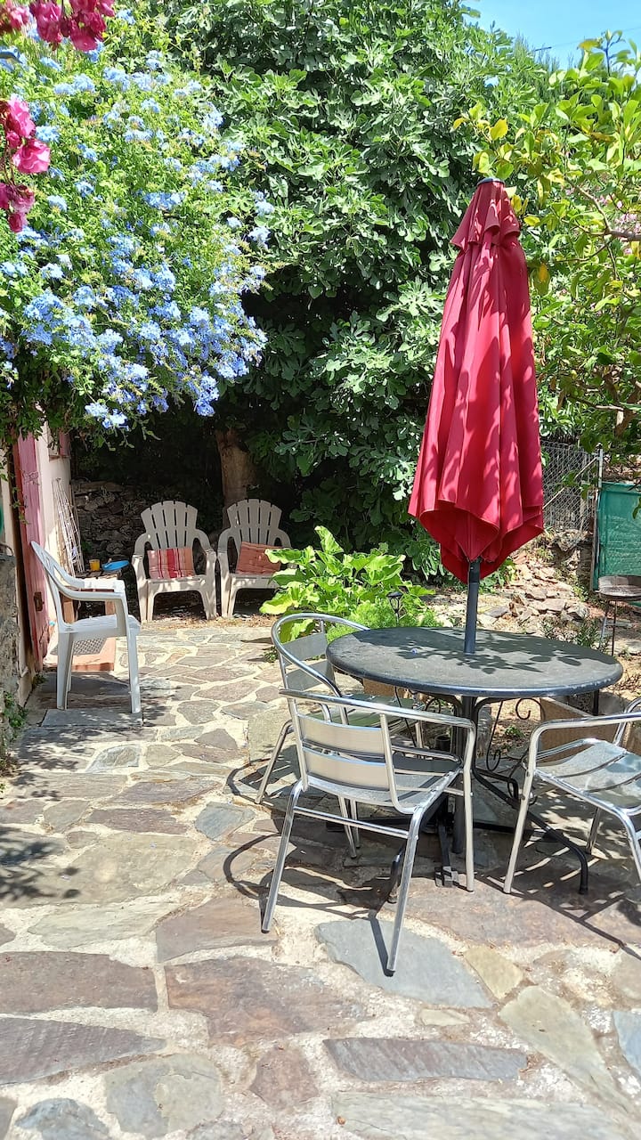 Studio Jardin Terrasse - Banyuls-sur-Mer