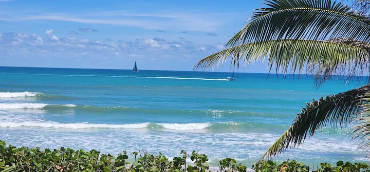 Seaside Paradise! - The Bahamas