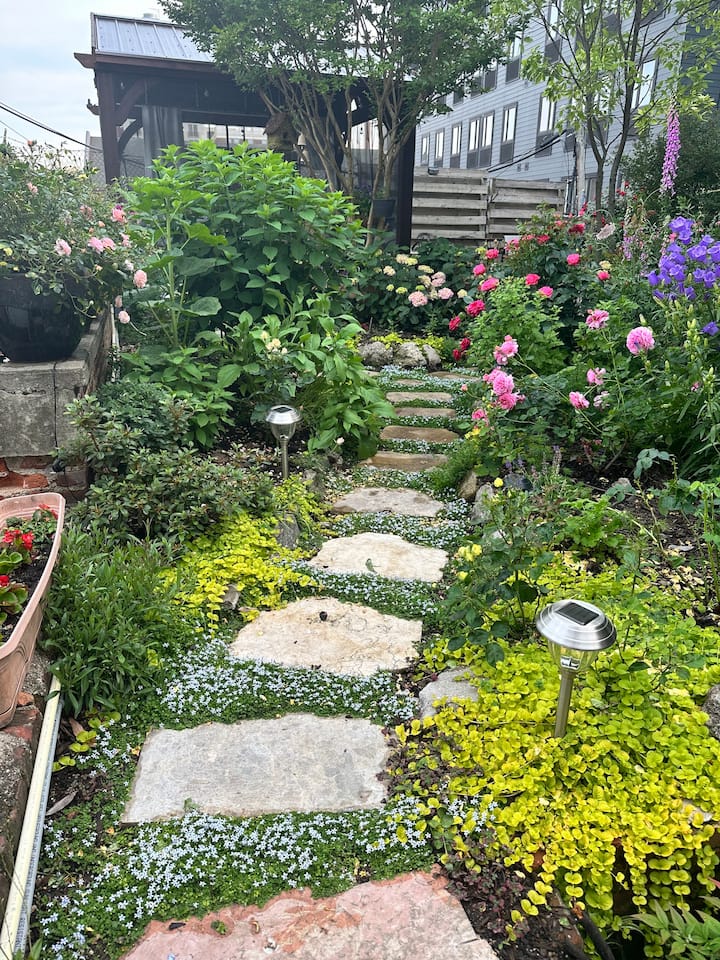 Hidden Gem Townhome/2 Brs -University City - Germantown - Philadelphia