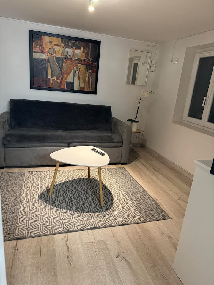 Studio En Pleine Sologne - Lamotte-Beuvron