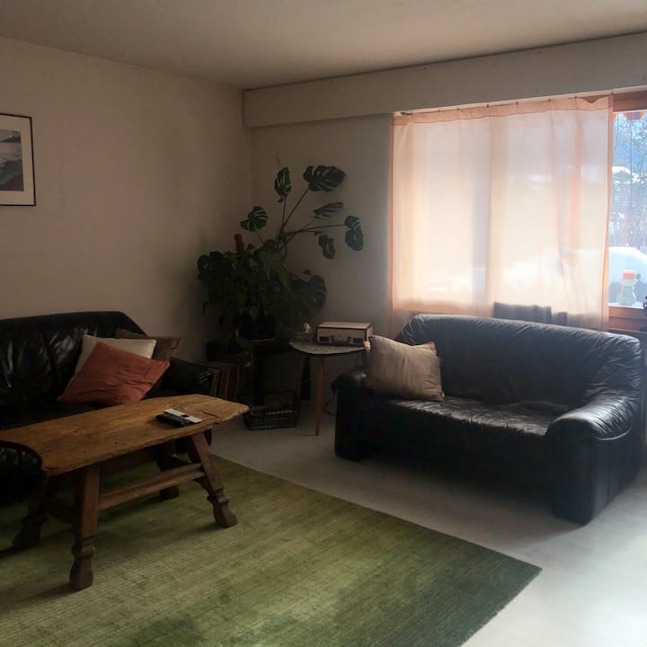 3.5zi-wohnung An Toller Lage - Adelboden