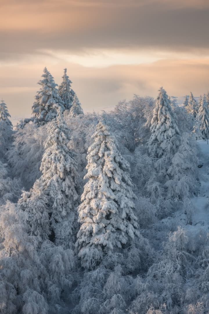 «&nbsp;Cœur De Volcan&nbsp;» Un Cocon En Auvergne Au Calme - Issoire