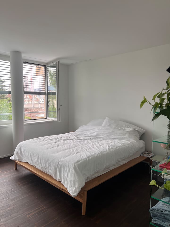 Bright Apartment By The River - Zurich