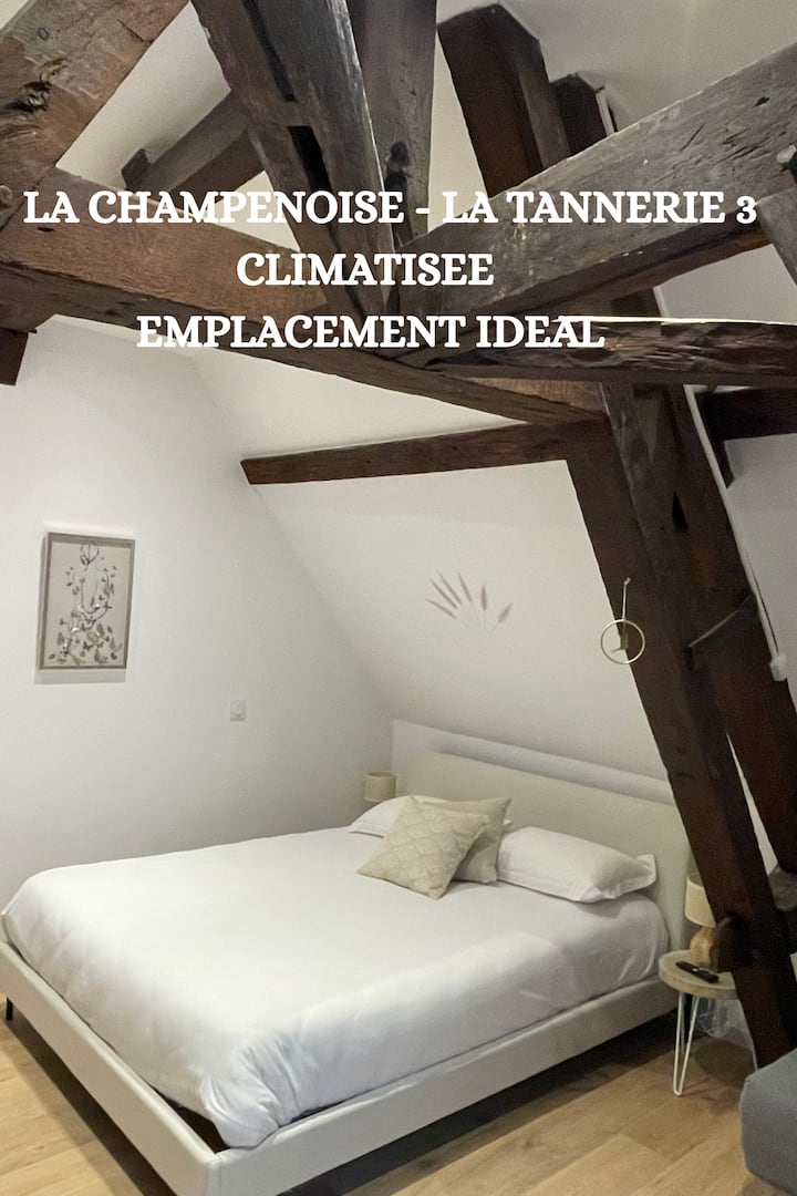 Tannerie 2 Chambres Spacieux, Cosy Au Centre Ville - Troyes