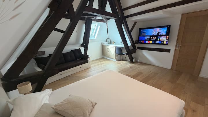 Tannerie 2 Chambres Spacieux, Cosy Au Centre Ville - Troyes