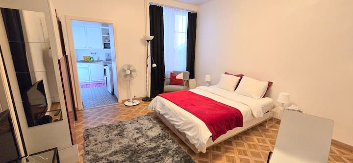 Adorable Studio En Vieille Ville - Geneva