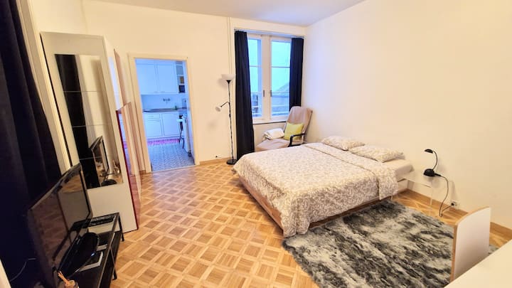 Adorable Studio En Vieille Ville - Geneva