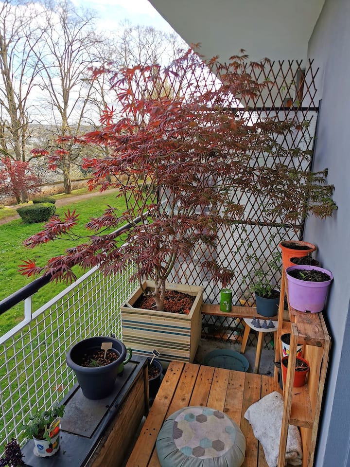 Chambre Cosy à 30mins De Paris. Plateau De Saclay - Palaiseau