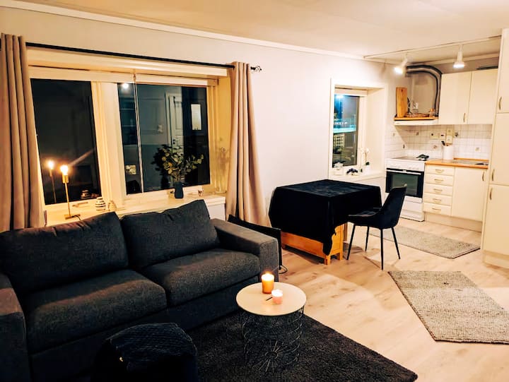 Nice Apartment Close To City Centre - Aéroport de Bergen (BGO)