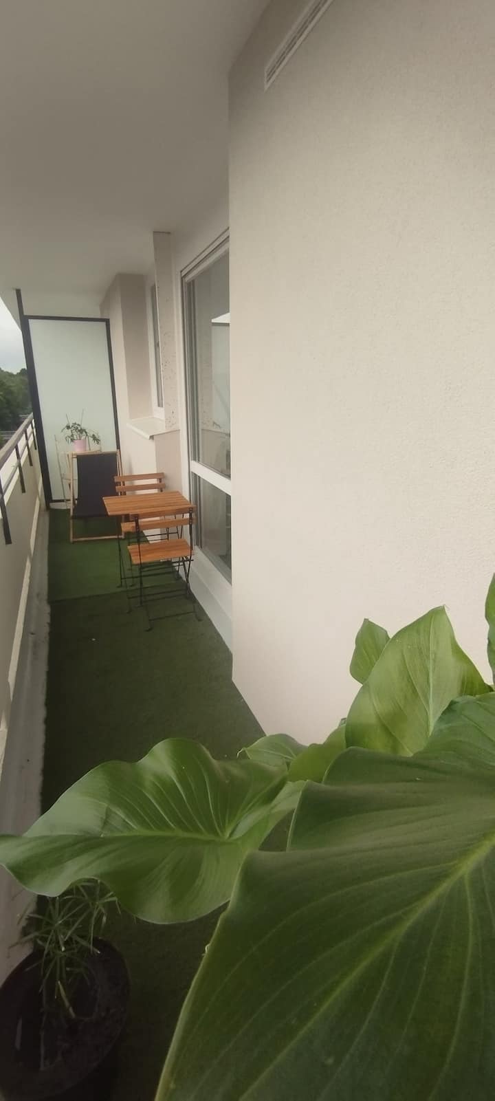 Grand T3 Plein Sud Avec Balcon - Saint-Brieuc