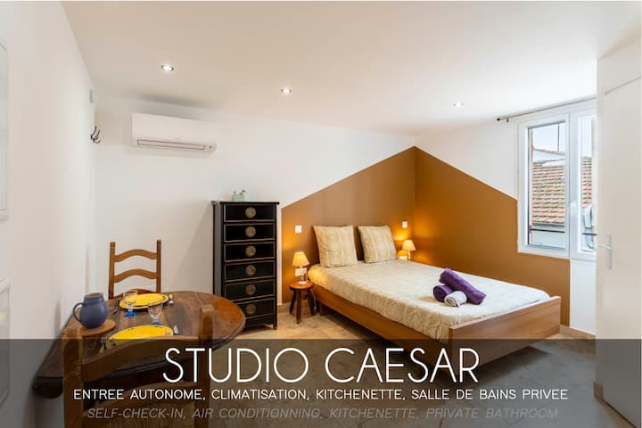 Studio Caesar - Climatisation - Arlés