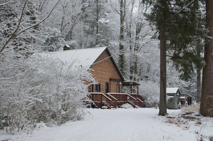 Cozy Cabin @ Laurel Creek - Nrg - West Virginia