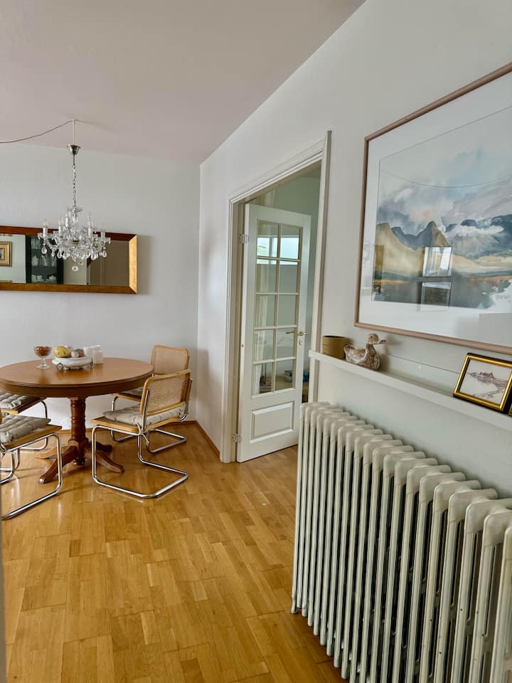 Cosy Downtown Apartment - Reykjavik