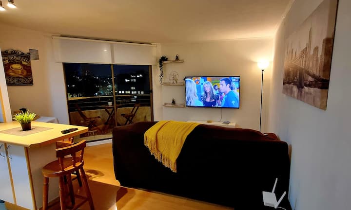 Acogedor Departamento Santiago - Santiago