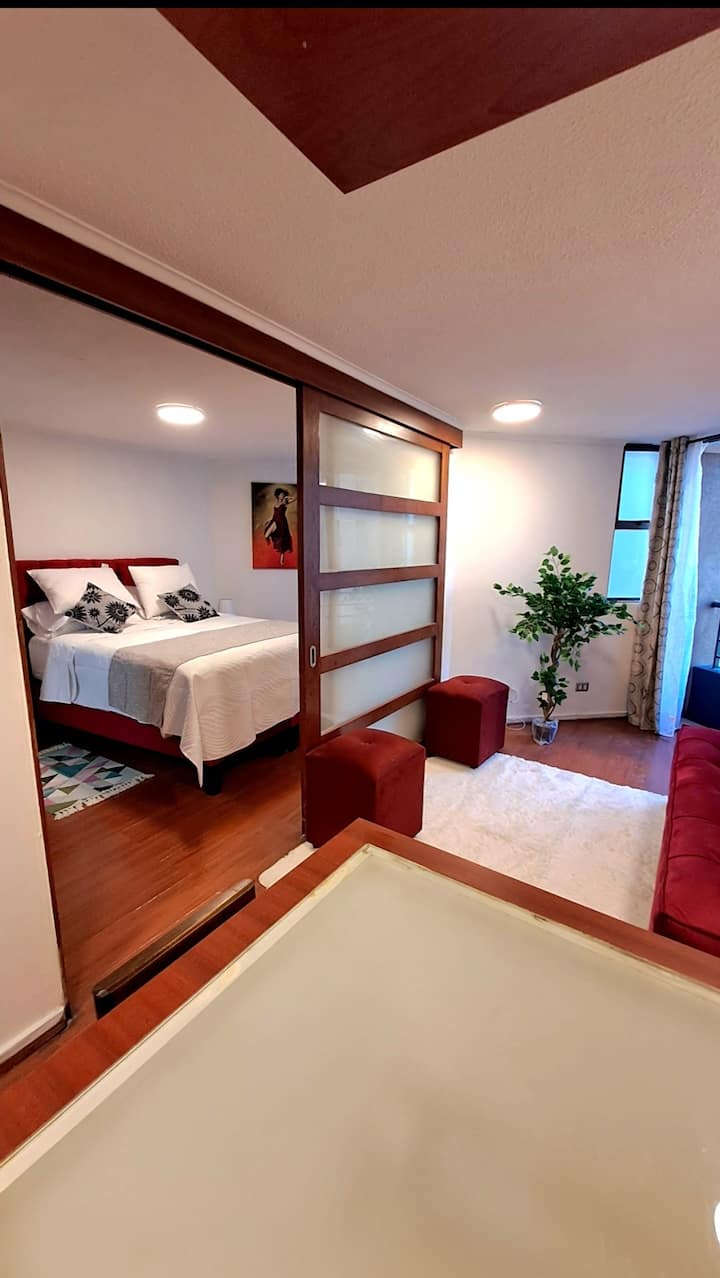 Bellas Artes 5, Al Lado Del Metro/barrio Lastarria - Providencia