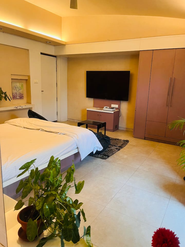 Rose Room - Nagpur