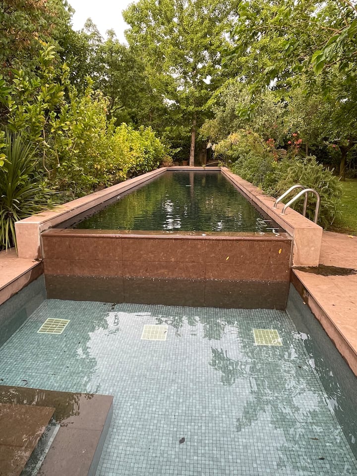 Paradiso Sul Lago - The Entire Property - Trevignano Romano