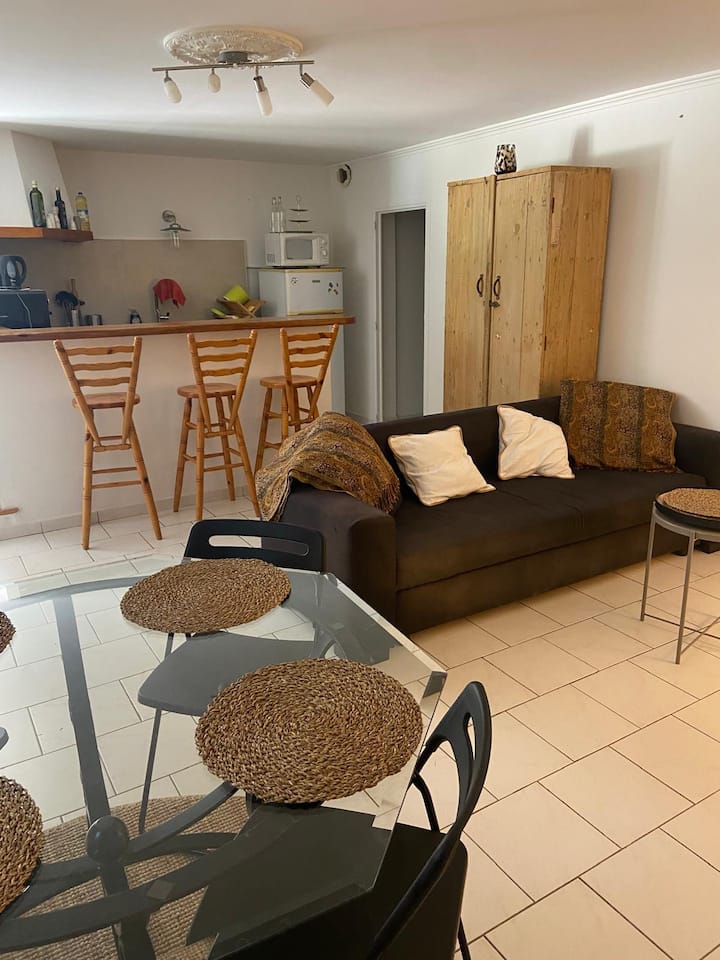 Appartement Rez De Chaussée Avec Accès Jardin - Cotignac
