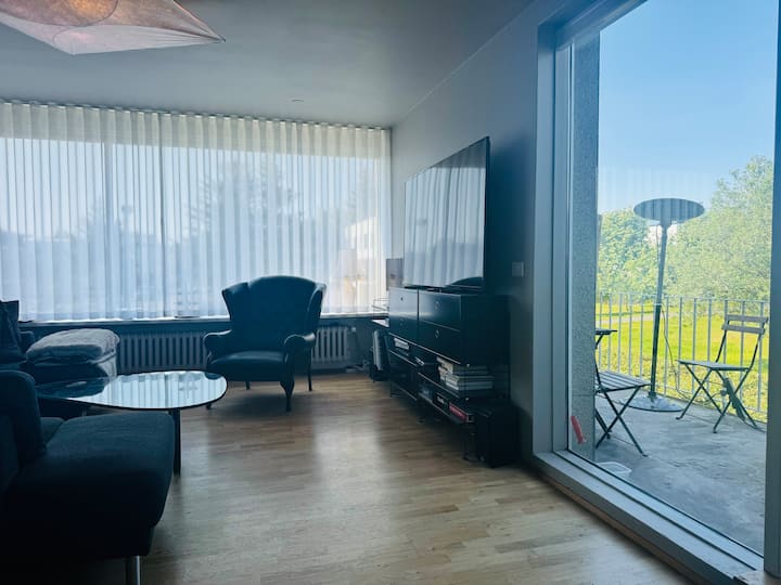 Apartment With 5 Bedrooms Down Town Reykjavík - Reykjavík