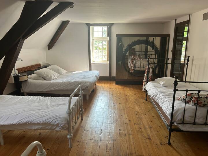 Familiale Dauphin - Beaugency