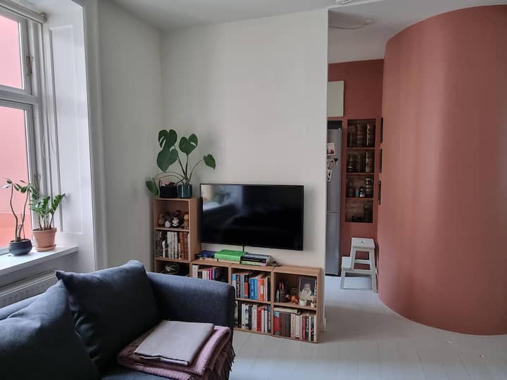 Hyggelig Lejlighed På Dejlige Nørrebro - Copenhaguen