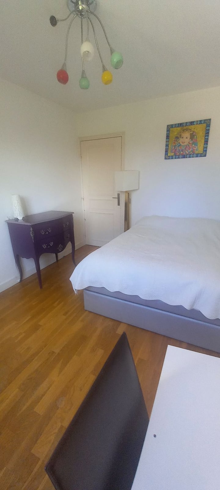 1 Chambre à Louer Ds Bel Appart Lumineux - Lyon