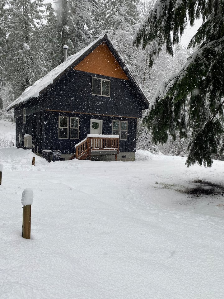 Cozy Cabin*wild Cascadia*14 Mi From Stevens - Skykomish, WA