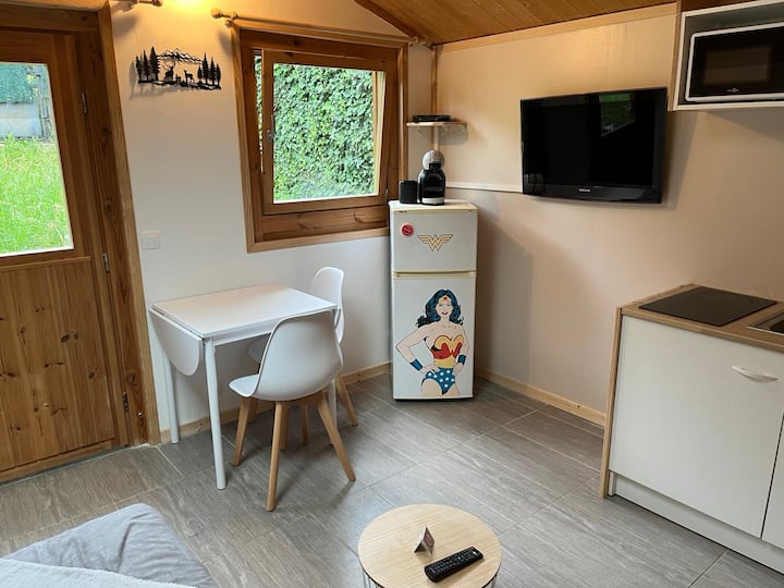 Charmant Chalet, à 30 Minutes De Paris - Thoiry