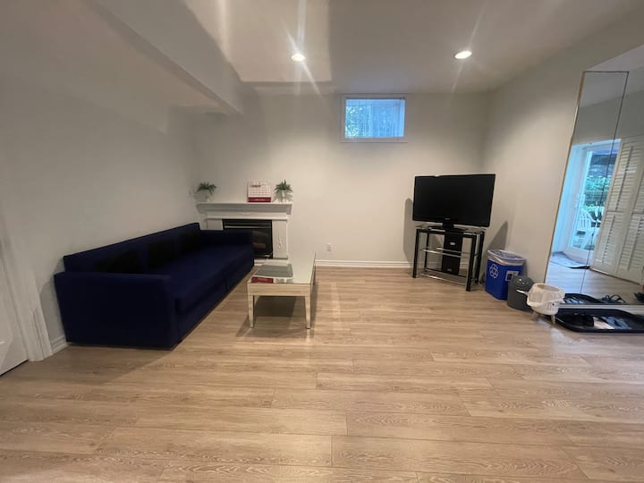 Beautiful Basement Nice Room + Ensuite Bathroom - Toronto