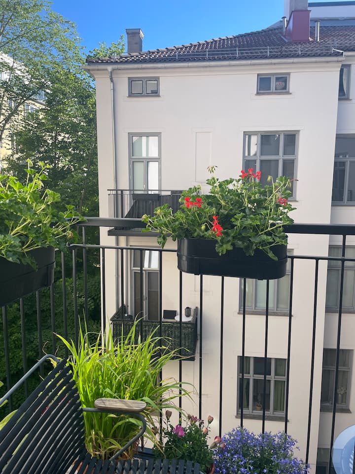 Sentralt. Balkong, Eget Bad Og Inngang. - Oslo