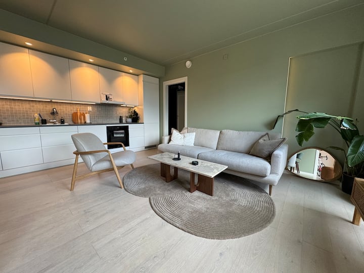 Ny Toppleilighet I Rolig Bakgård Midt I Sentrum! - Oslo