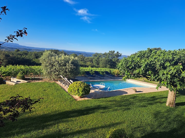 Maison De Prestige Luberon Avec Piscine Chauffée - Cucuron