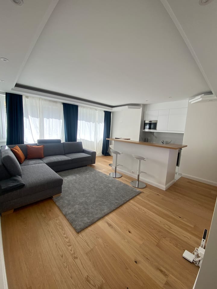 Magnifique Appartement - Geneva