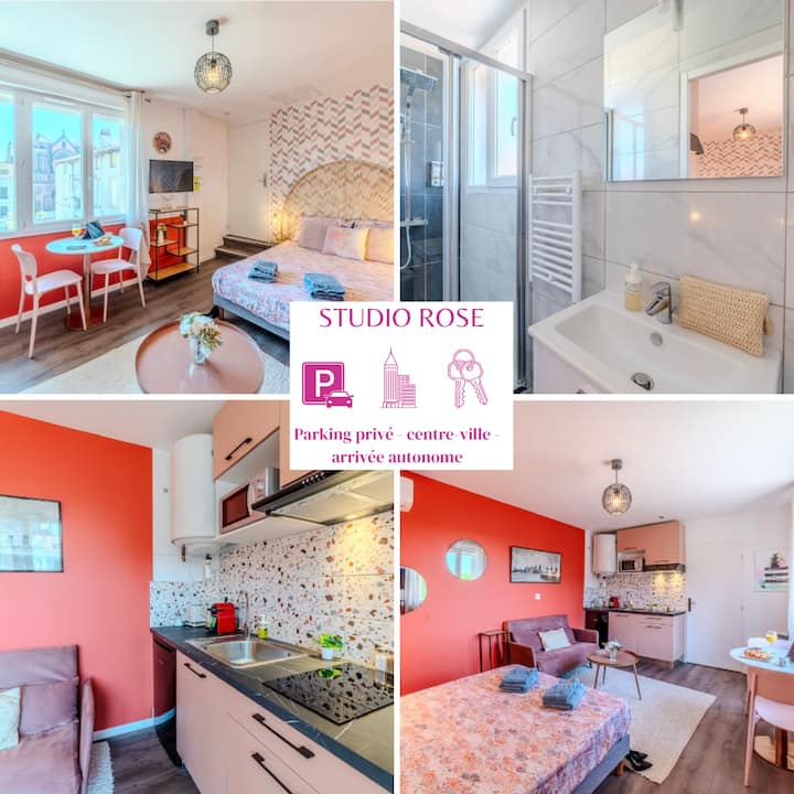 Rose Parking & Clim - Roanne Centre-ville - Roanne