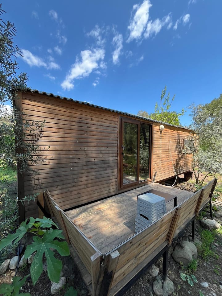 Bungalow - Adrasan
