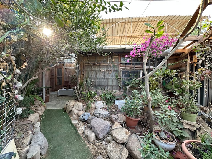 Adva's Garden - Eilat