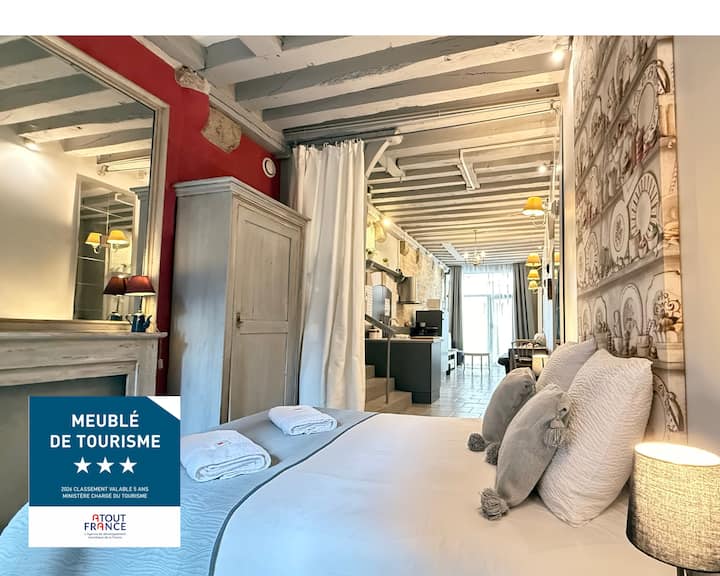Le Nid De La Loire - Centre Historique - 4 Pers 3* - Blois
