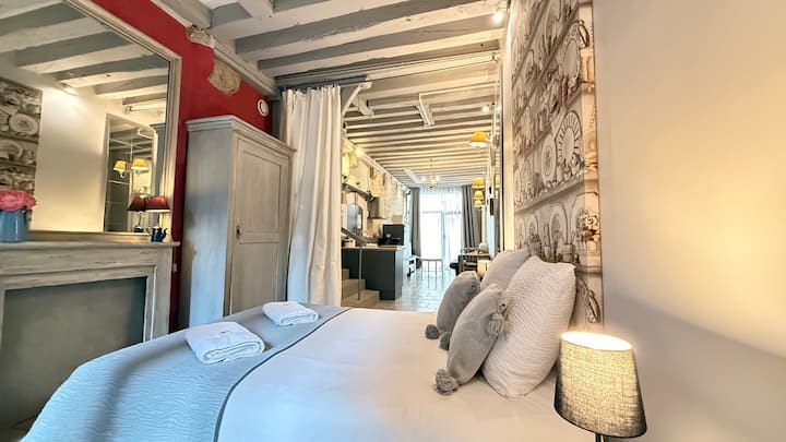 Le Nid De La Loire - Centre Historique - 4 Pers 3* - Blois