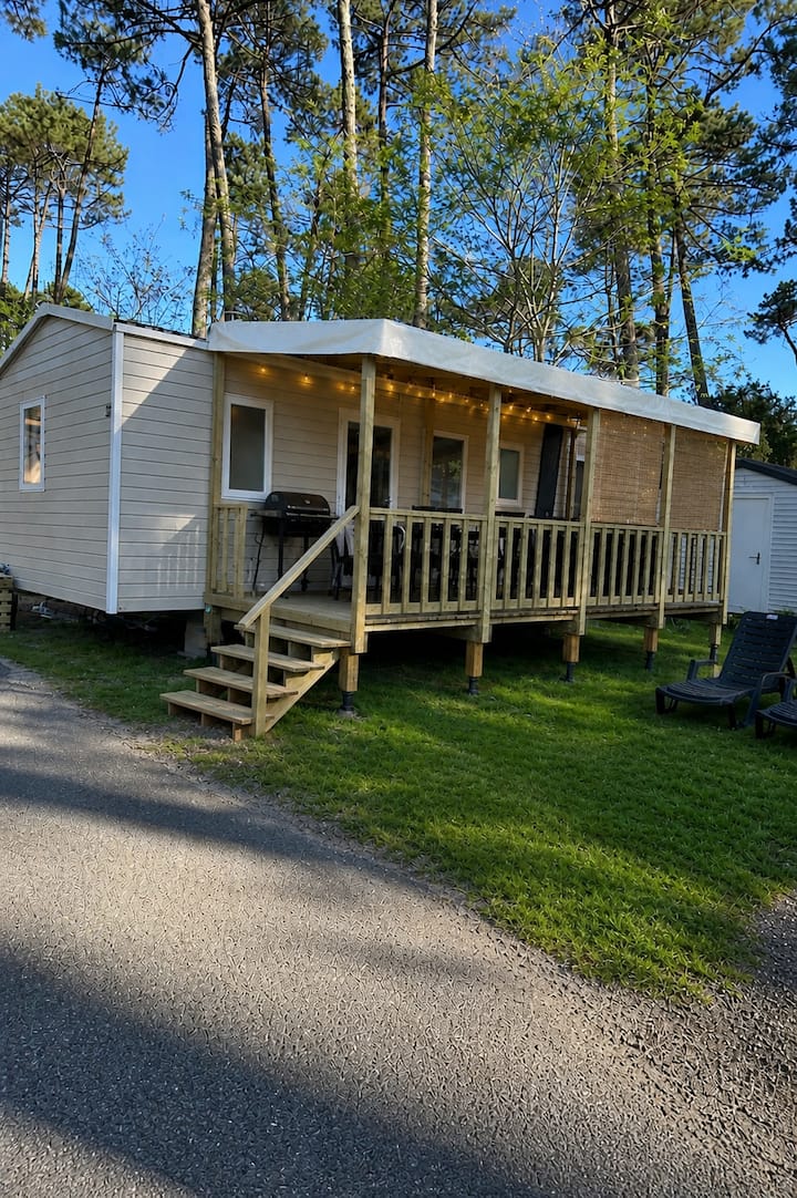 Bungalow 6/8 Pers Au Bord De Locéan - Seignosse
